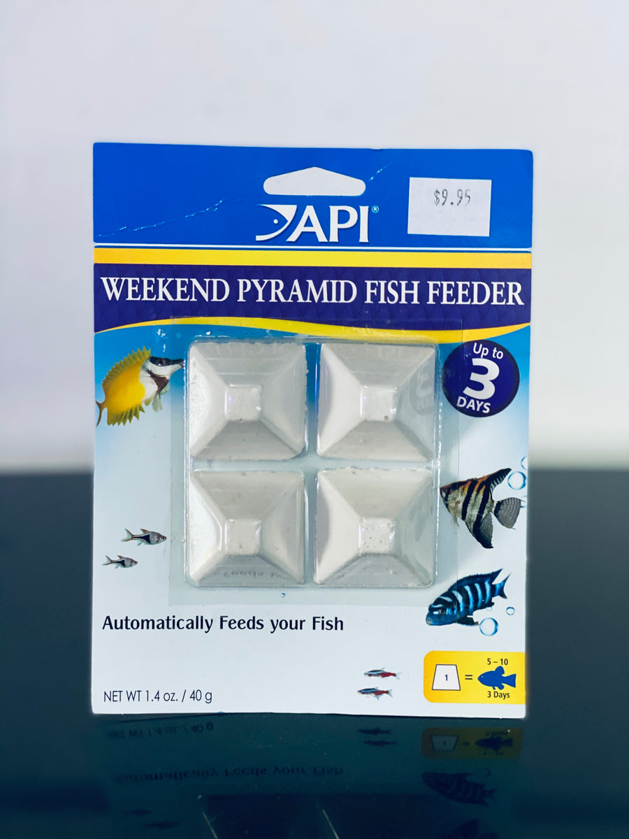 API Pyramid Feeder – Melbourne Tropical Fish